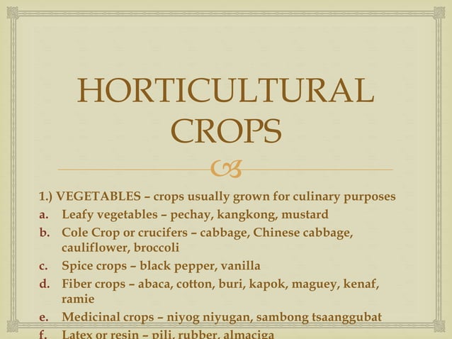 MAJOR CROPS OF THE PHILIPPINES AND THEIR GEOGRAPHIC.pptx | Gardening ...