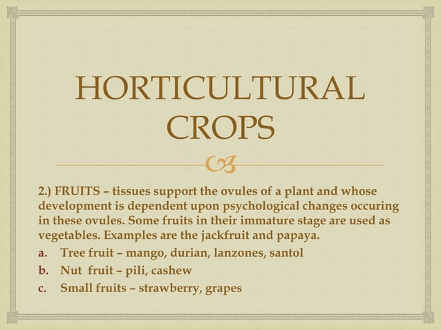 MAJOR CROPS OF THE PHILIPPINES AND THEIR GEOGRAPHIC.pptx | Gardening ...