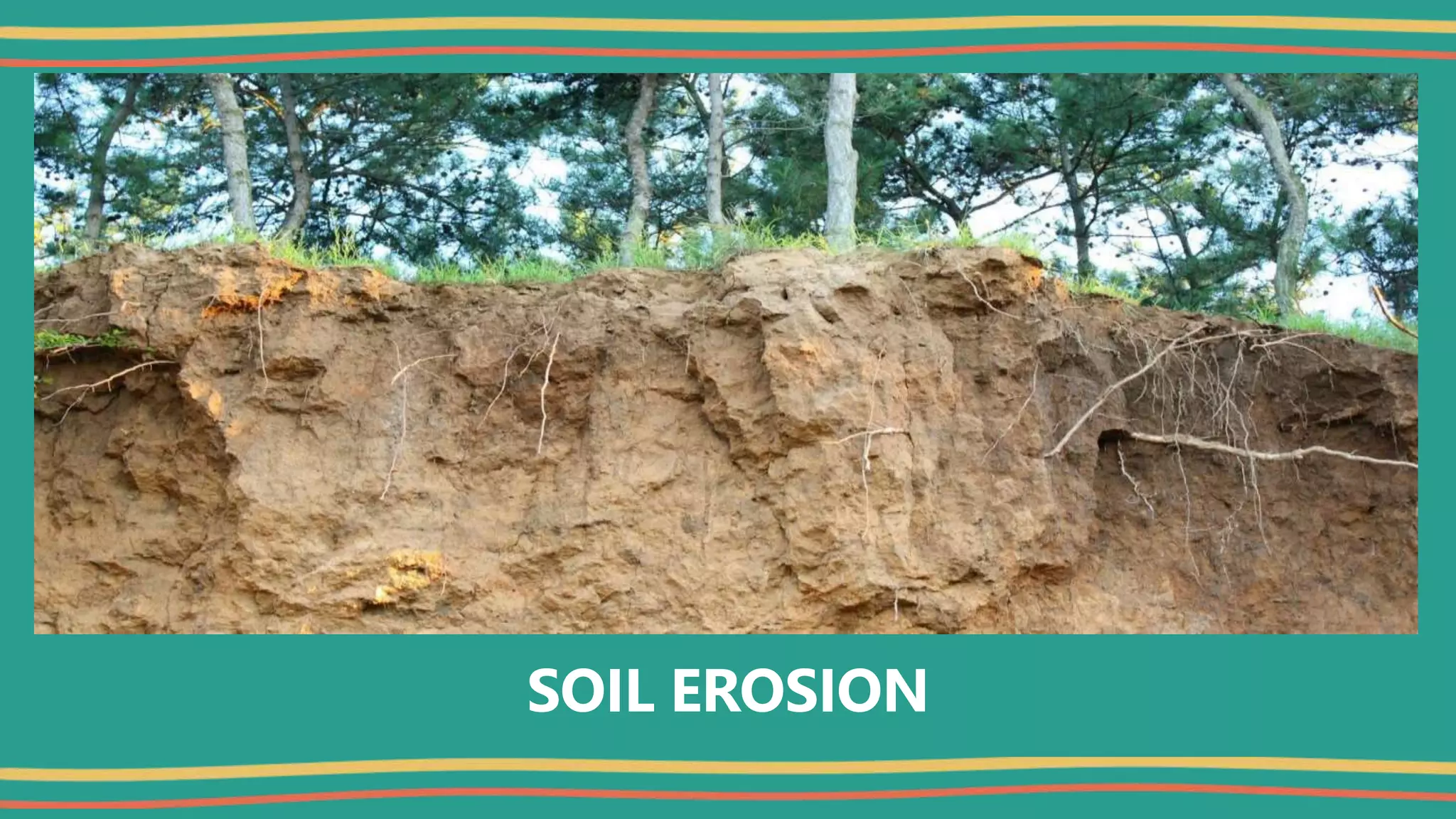 MAJOR CURRENT ENVIRONMENTAL ISSUES.pptx