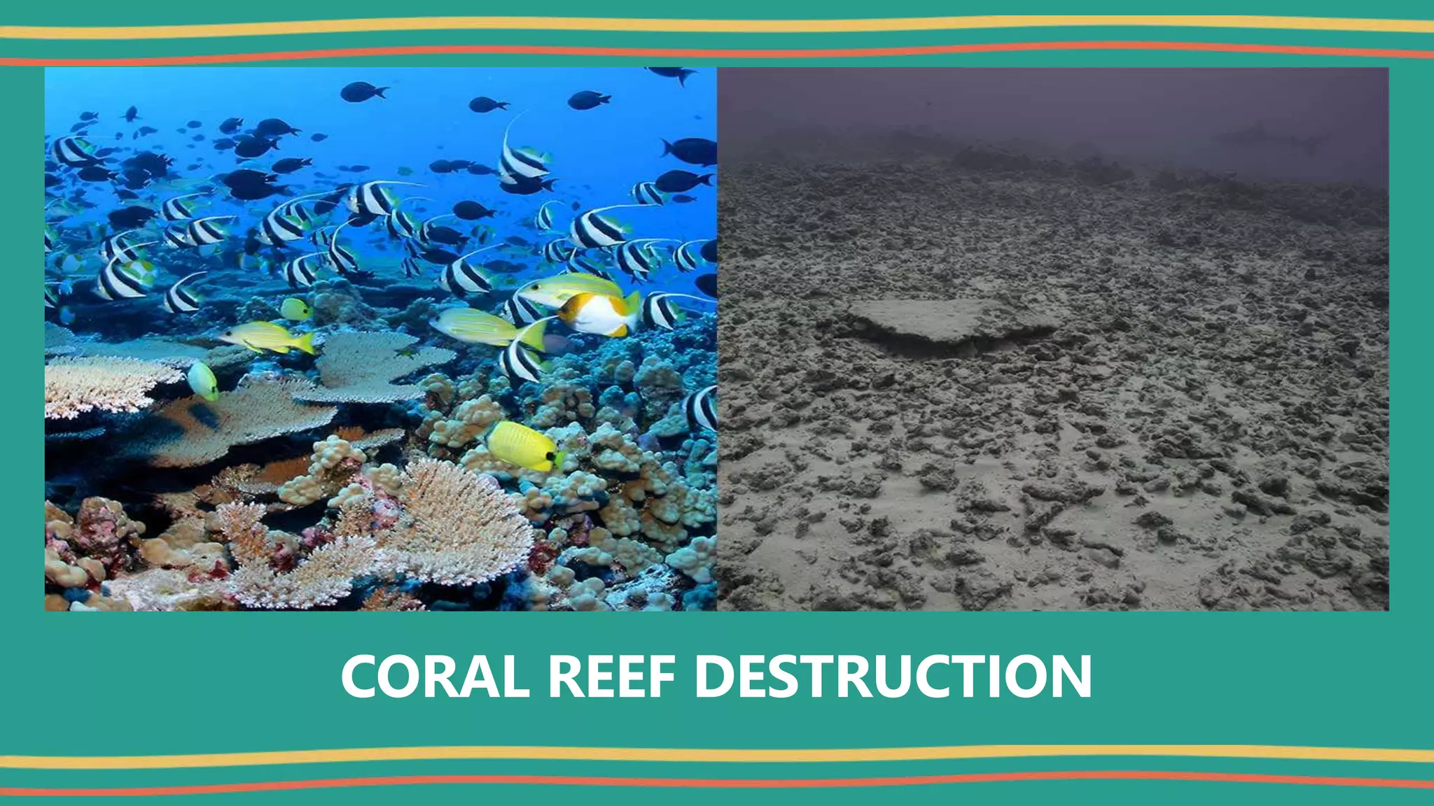 MAJOR CURRENT ENVIRONMENTAL ISSUES.pptx