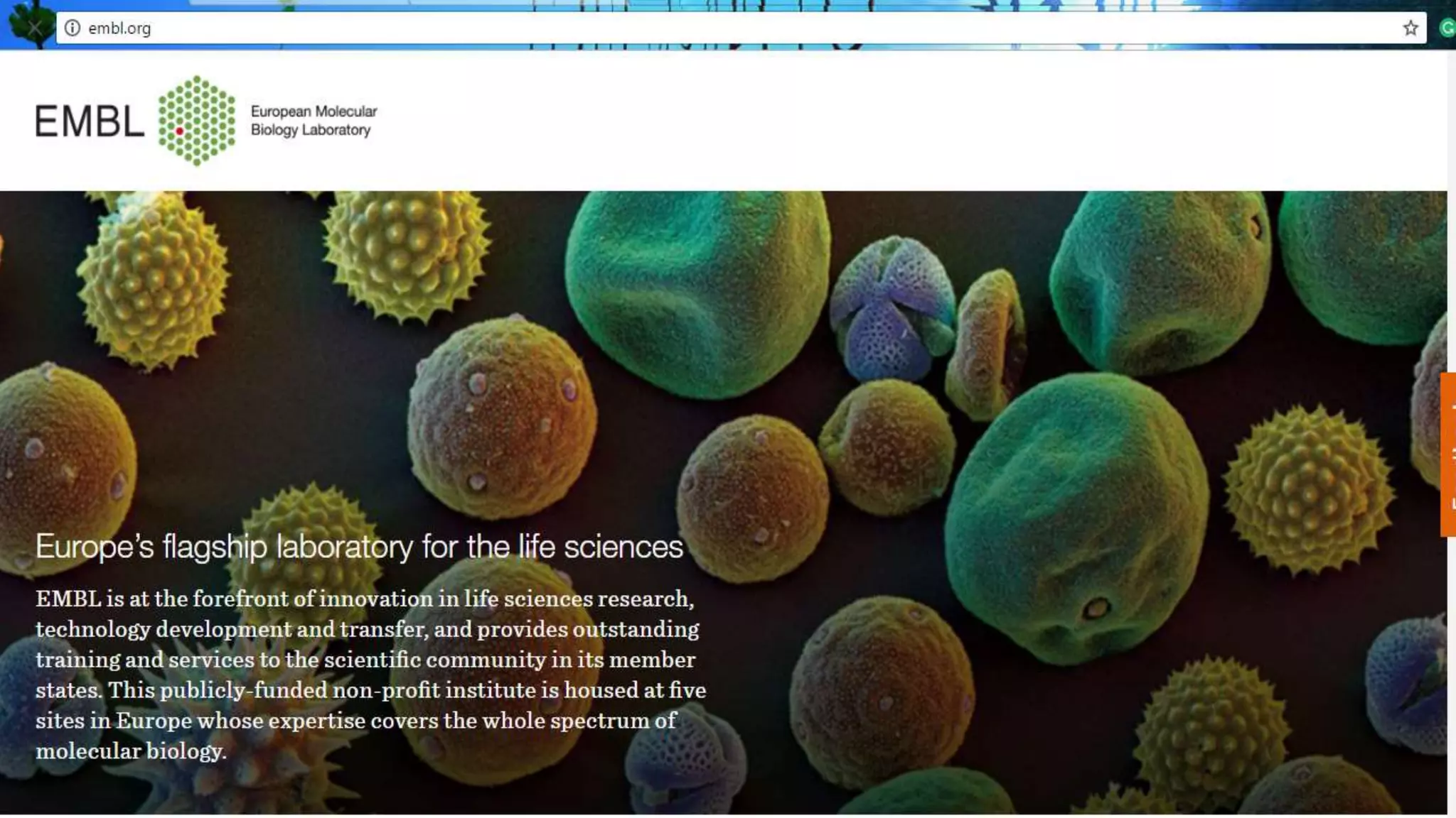 Major Databases In Bioinformatics Pptx Databases Computer