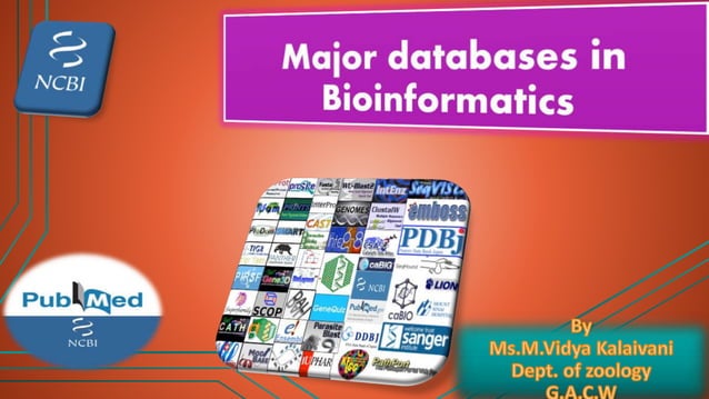 Major databases in bioinformatics | PPTX | Databases | Computer Software and Applications