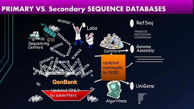 Major databases in bioinformatics | PPTX | Databases | Computer ...