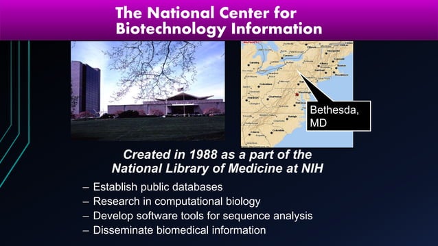Major databases in bioinformatics | PPTX | Databases | Computer ...