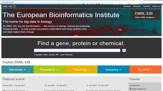 Major databases in bioinformatics | PPTX | Databases | Computer Software and Applications