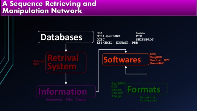 Major databases in bioinformatics