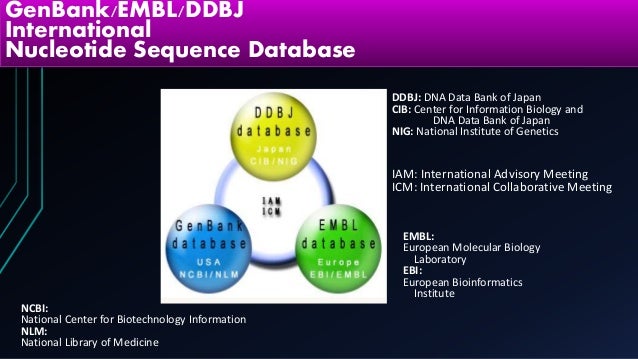 Major databases in bioinformatics