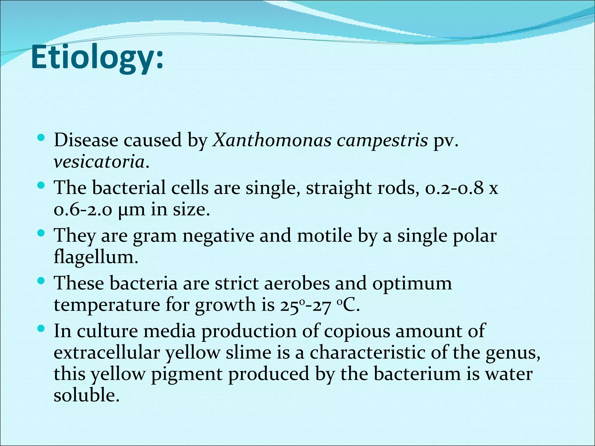 Major diseases of chilli | PPT