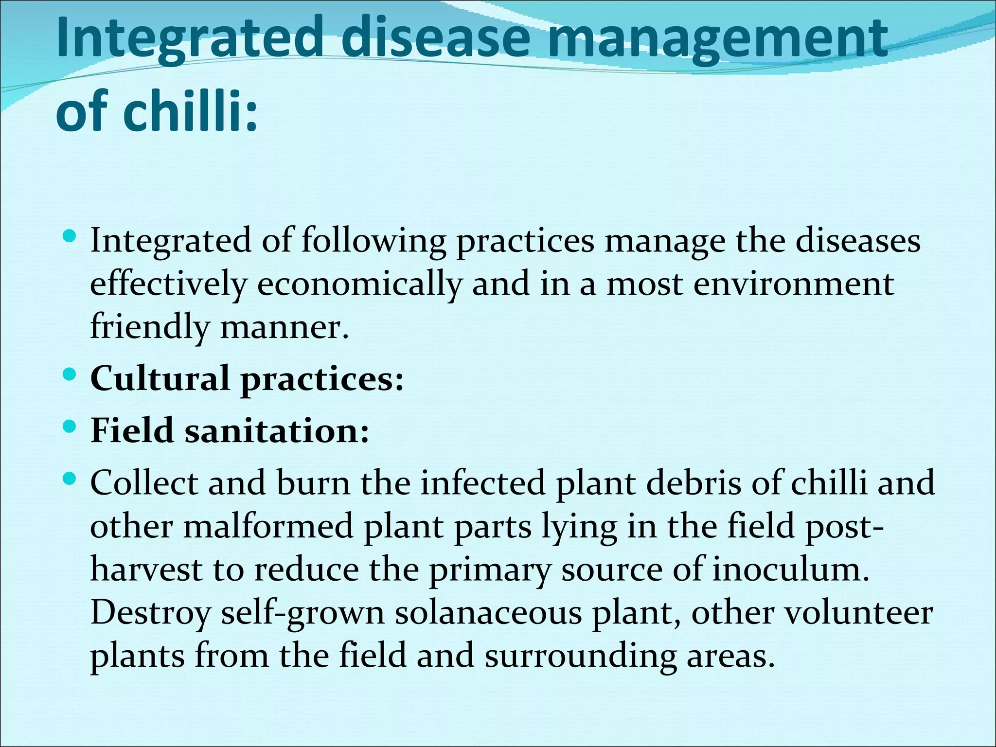 Major diseases of chilli | PPT