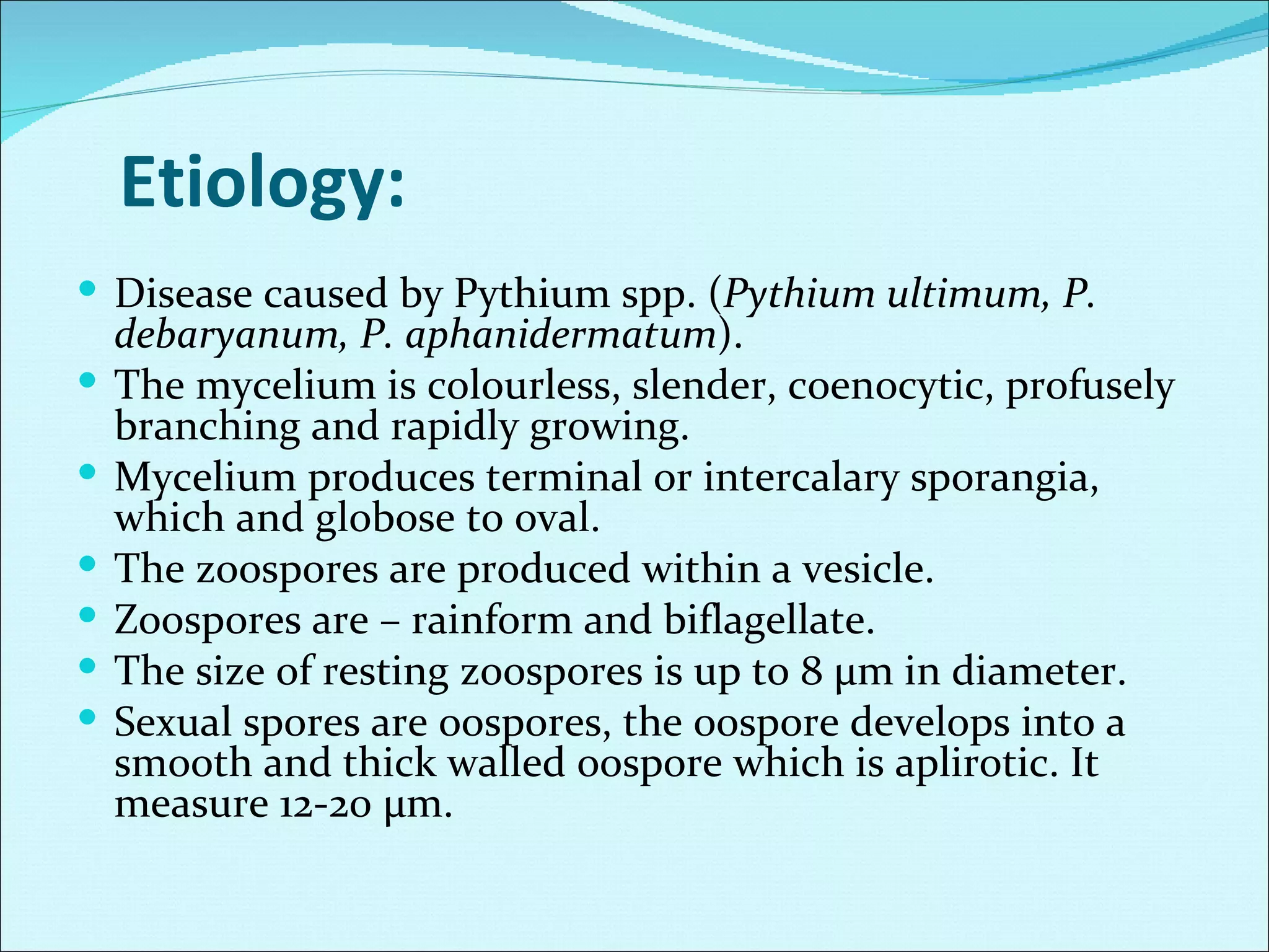 Major diseases of chilli | PPT
