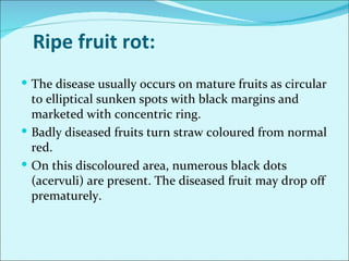 Major diseases of chilli | PPT