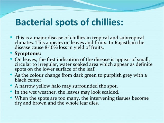 Major diseases of chilli | PPT