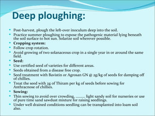 Major diseases of chilli | PPT