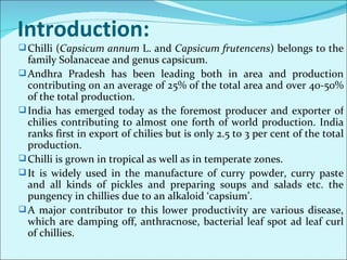 Major diseases of chilli | PPT