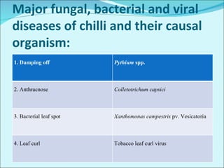 Major diseases of chilli | PPT