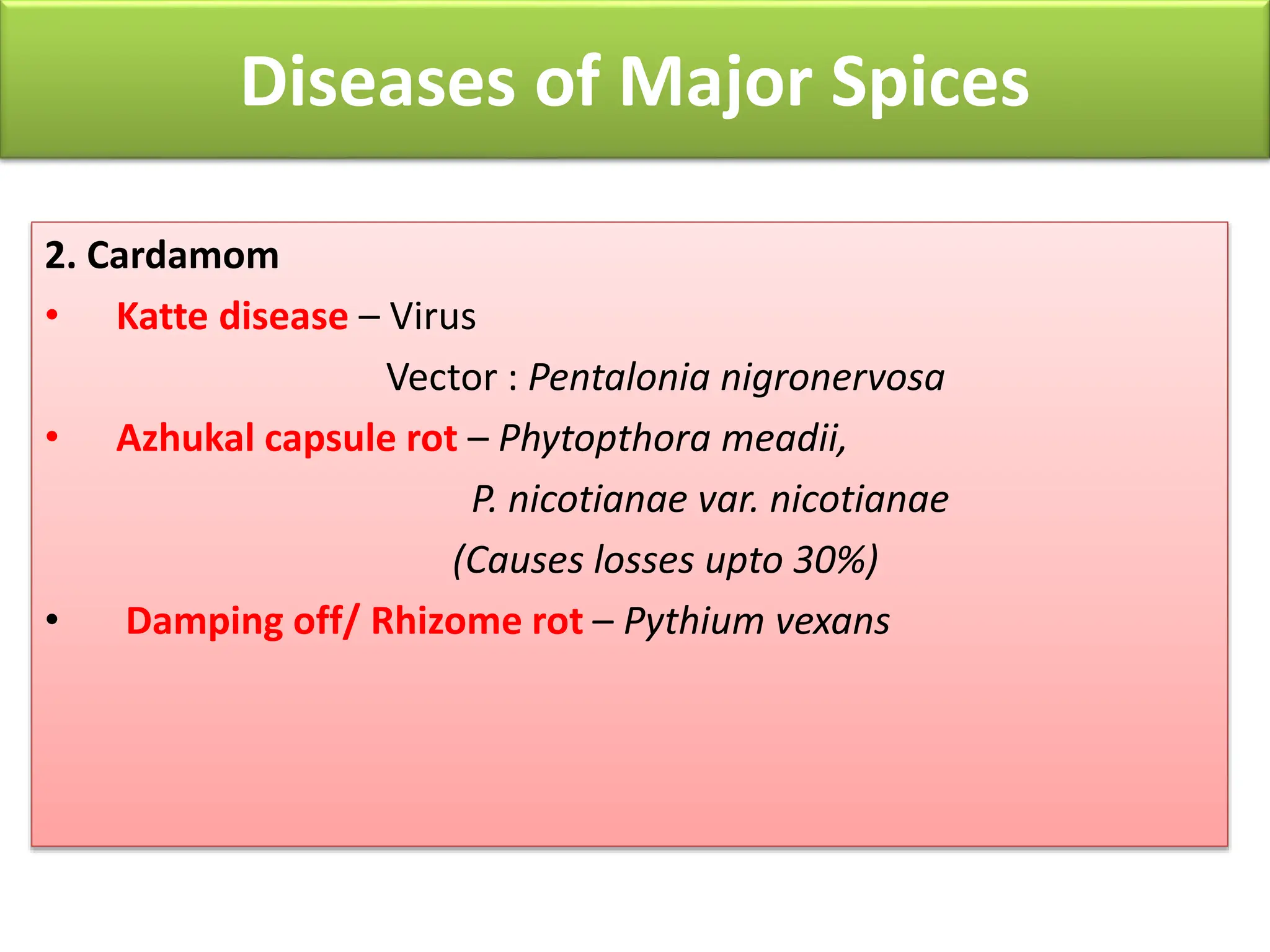 Major diseases of Spices and their Management.pptx