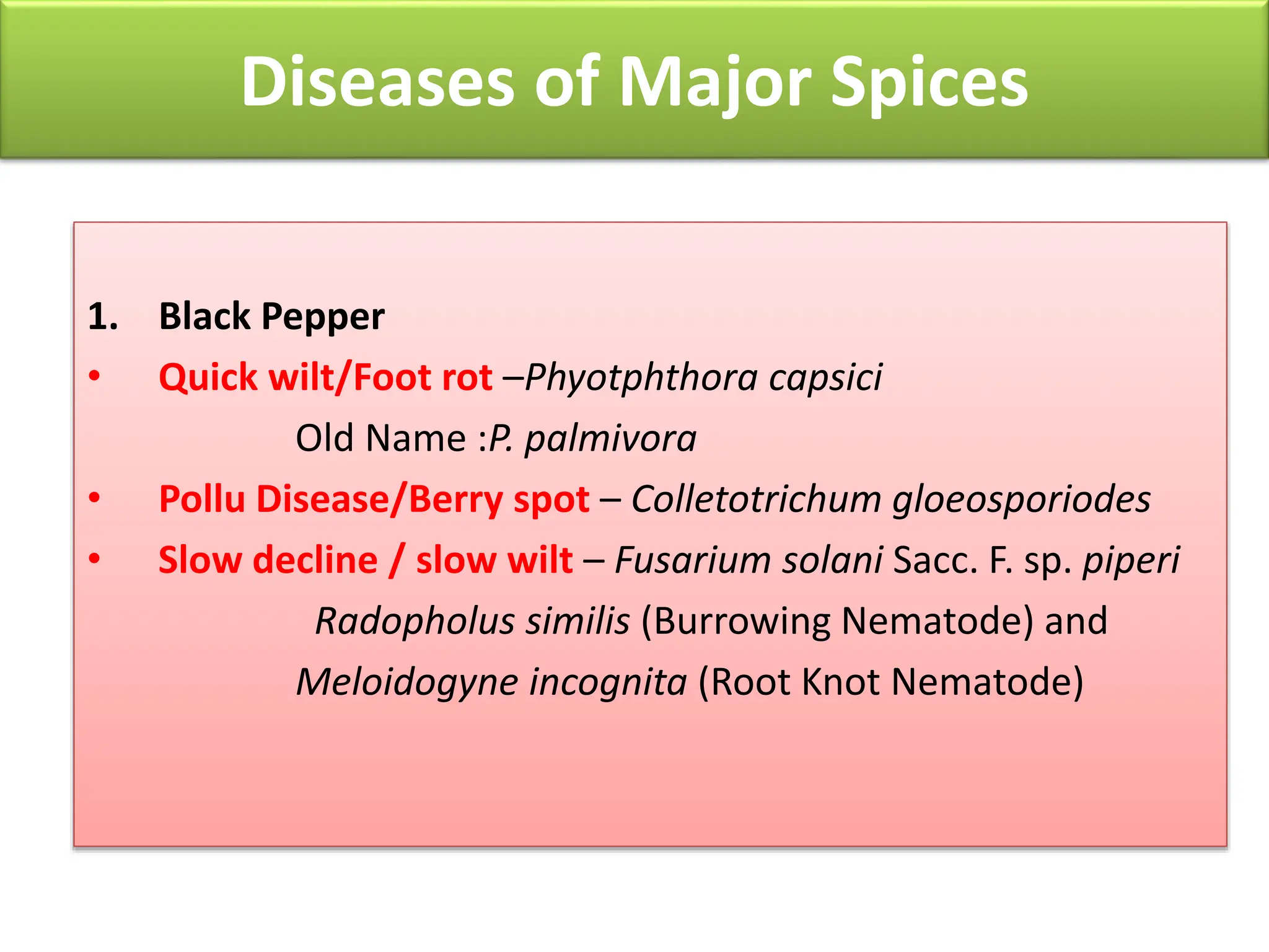 Major diseases of Spices and their Management.pptx