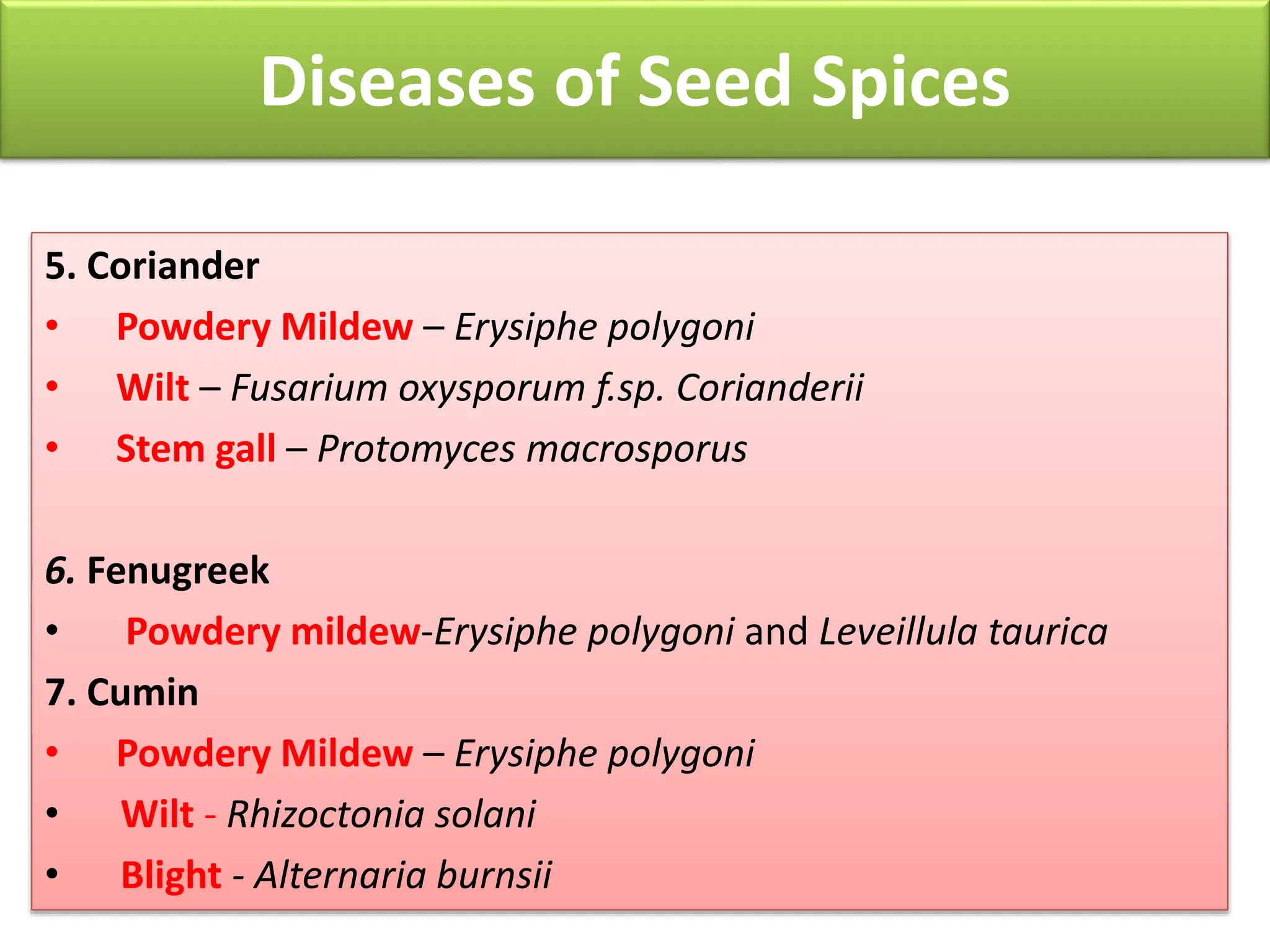 Major diseases of Spices and their Management.pptx