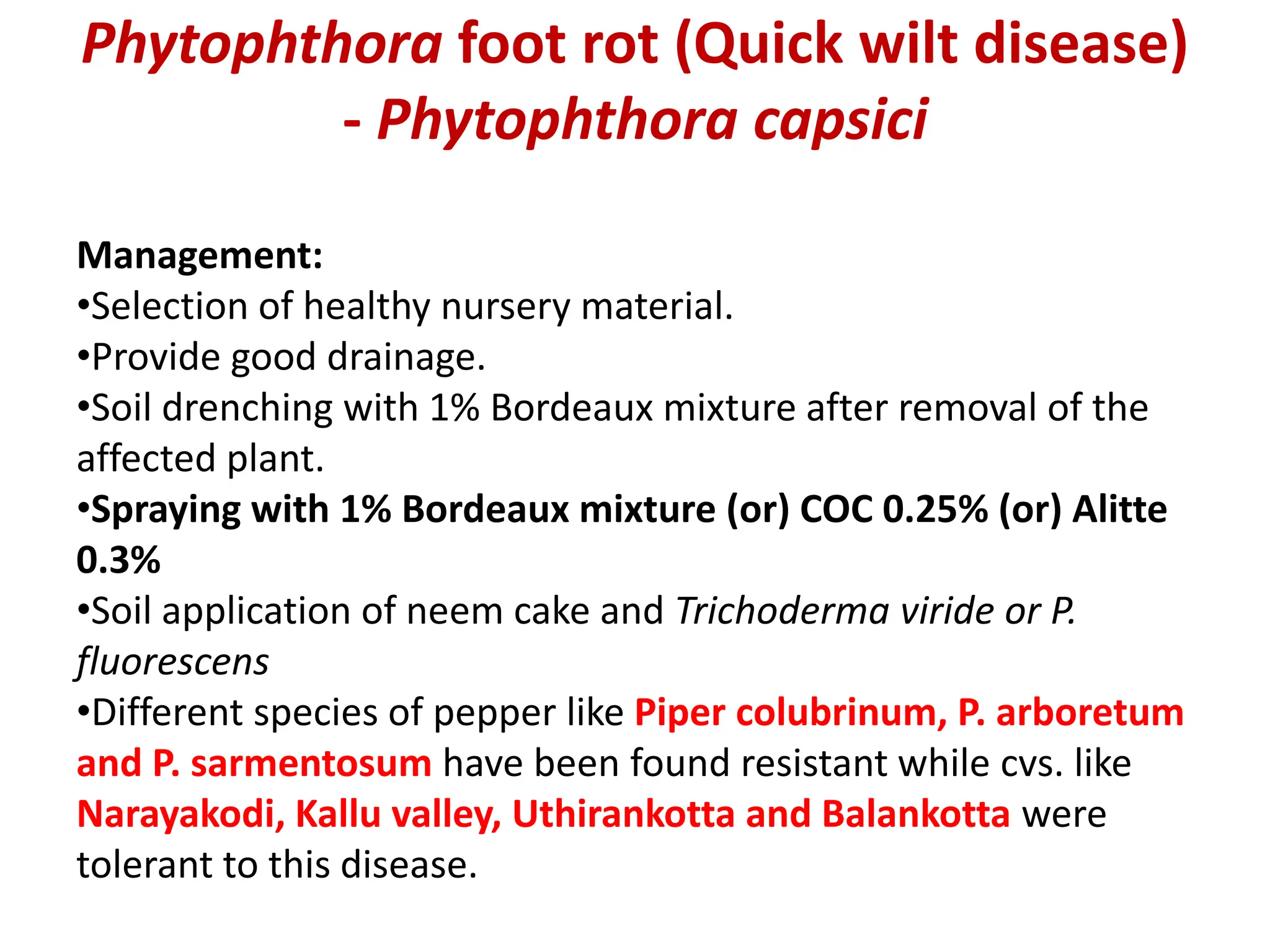 Major diseases of Spices and their Management.pptx