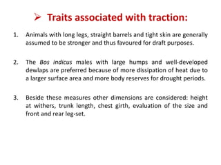 Major economic traits of cattle and buffalo | PPTX