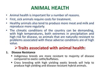 Major economic traits of cattle and buffalo | PPTX