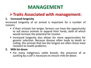 Major economic traits of cattle and buffalo | PPTX