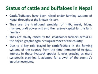 Major economic traits of cattle and buffalo | PPTX