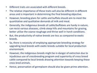 Major economic traits of cattle and buffalo | PPTX