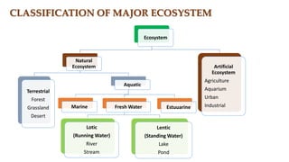 Major ecosystem | PPTX