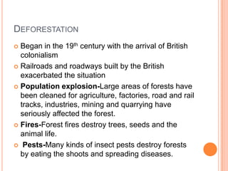 Major environmental issues in india | PPTX