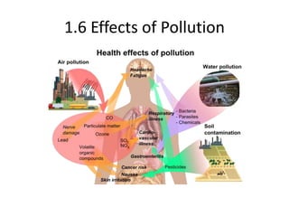 Major environmental problems and Issues of the world | PPTX