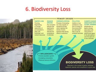 Major environmental problems and Issues of the world | PPTX