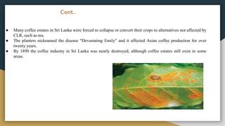 Major epidemics .pptx