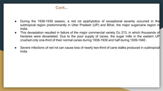 Major epidemics .pptx