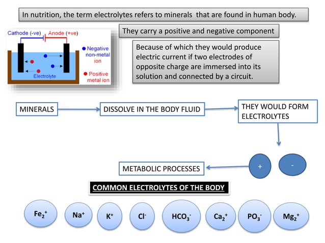 Major extra and intracellular electrolytes (PCI Syllabus, B. Pharm) | PPT