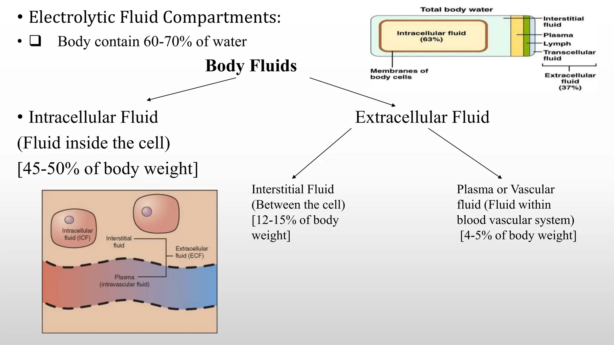 Major extra and intracellular electrolytes. Pharmaceutical Inorganic ...