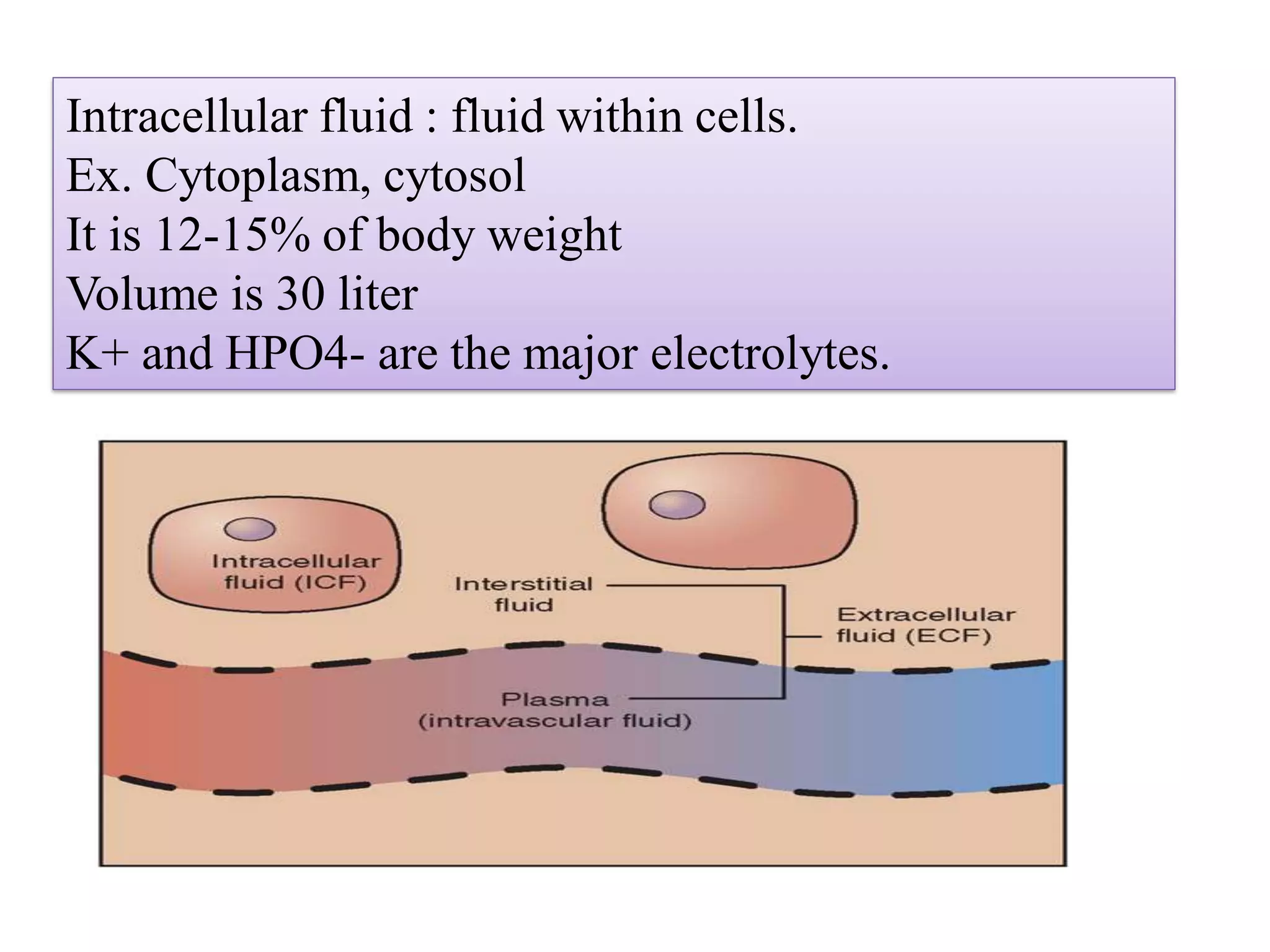 Major extra and intra cellular electrolytes | PDF