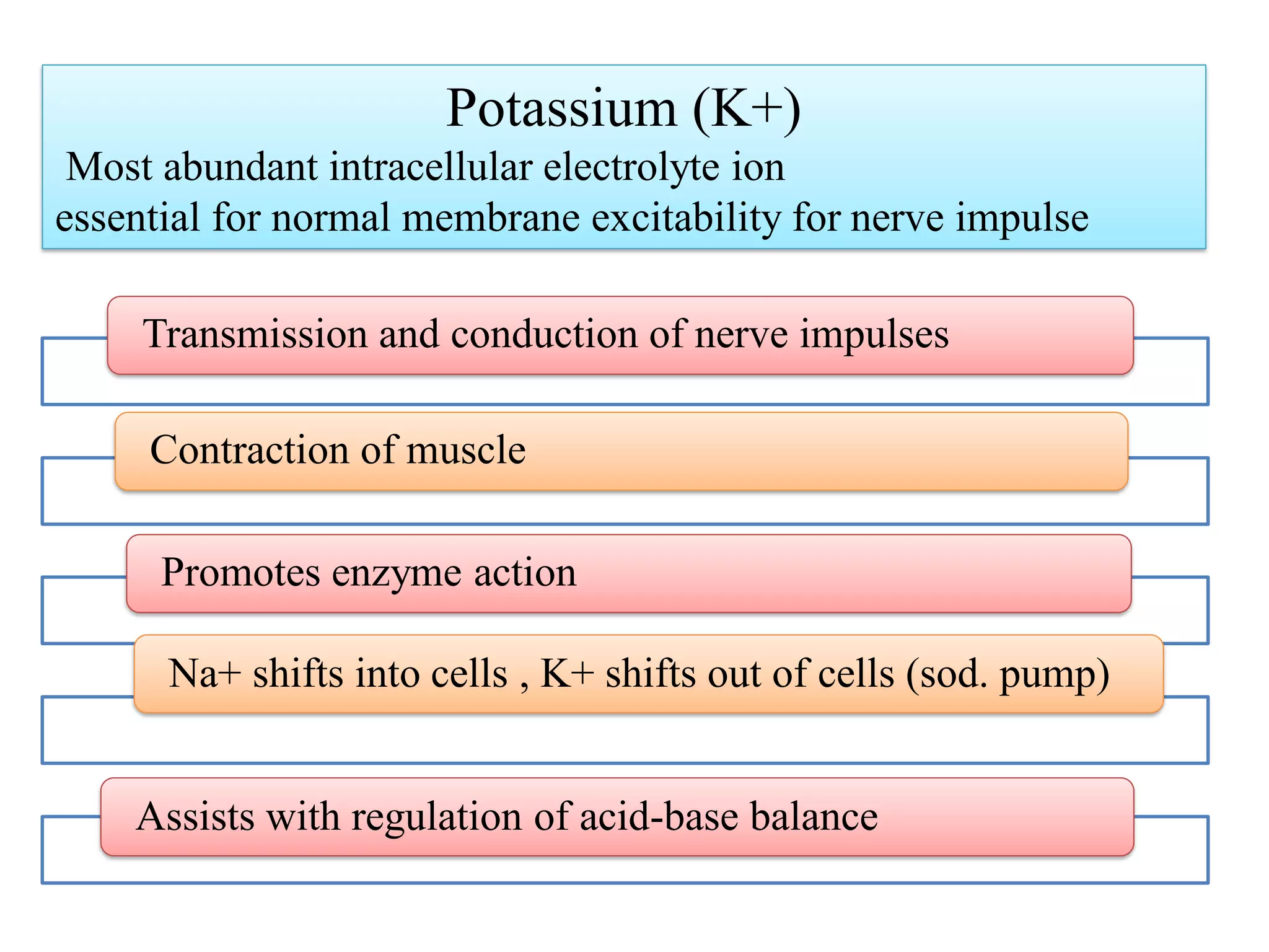Major extra and intra cellular electrolytes | PDF