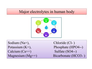 Major extra and intra cellular electrolytes | PDF