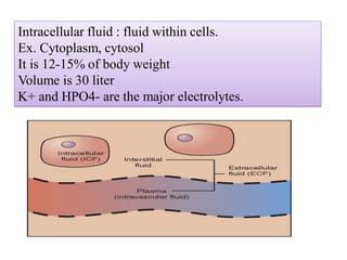 Major extra and intra cellular electrolytes | PDF