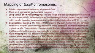 Major features of e.coli