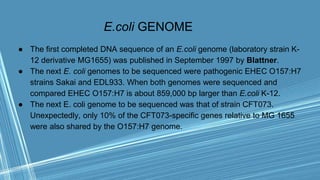 Major features of e.coli