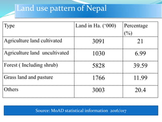 Major field and vegetable crops in nepal one over view himal bhusal -fina presen. | PPTX