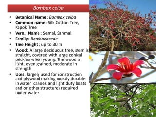 Major firewood and timber yielding plants | PPT