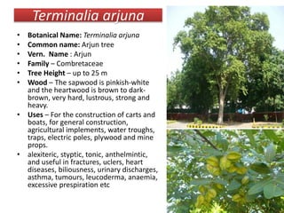 Major firewood and timber yielding plants | PPT