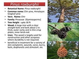 Major firewood and timber yielding plants of Jammu and kashmir | PPTX