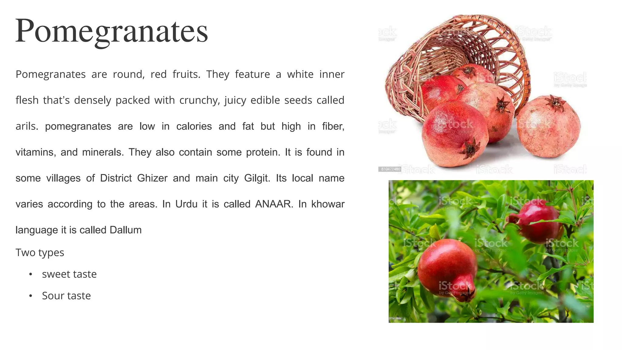 Flora and Fauna of Gilgit Baltistan.pptx