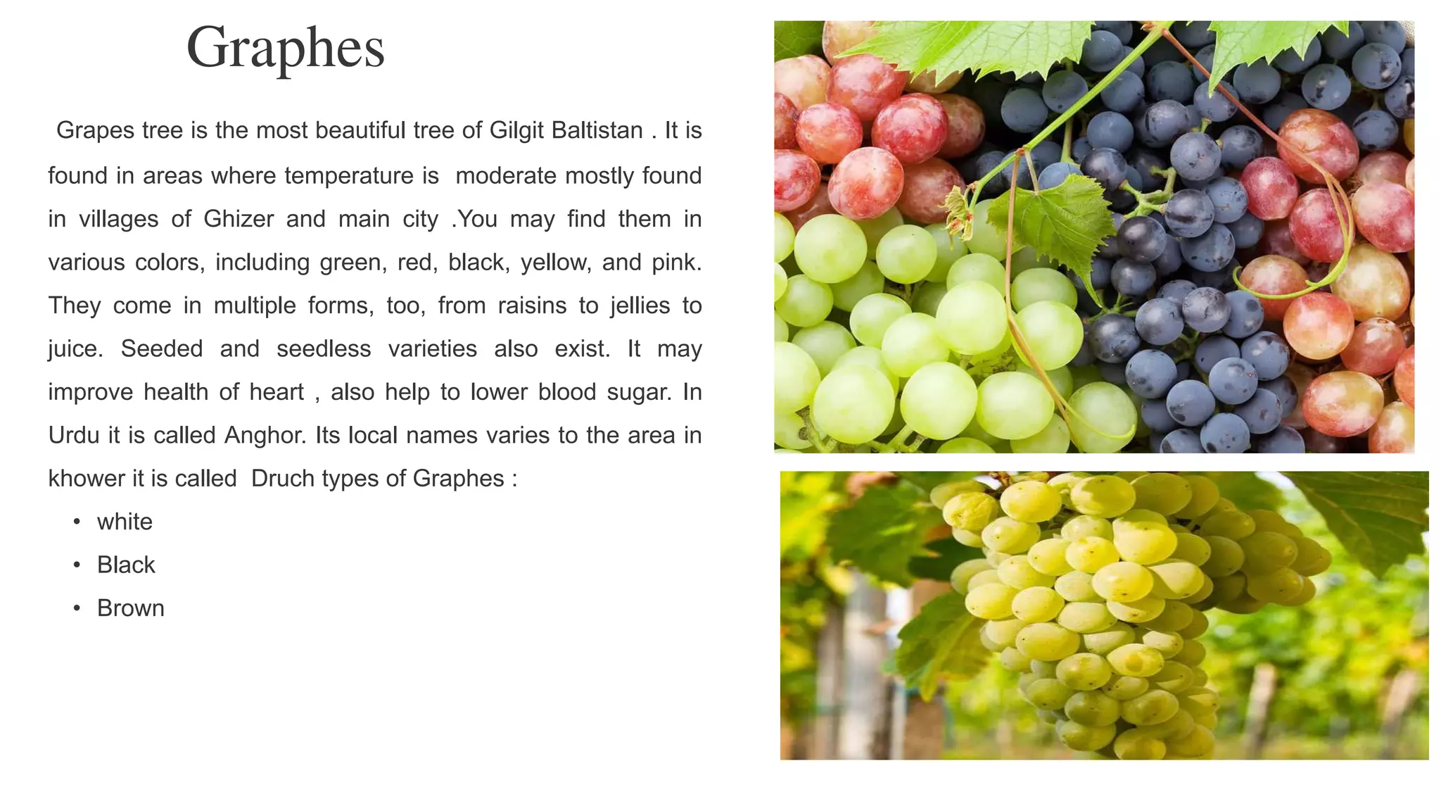 Flora and Fauna of Gilgit Baltistan.pptx