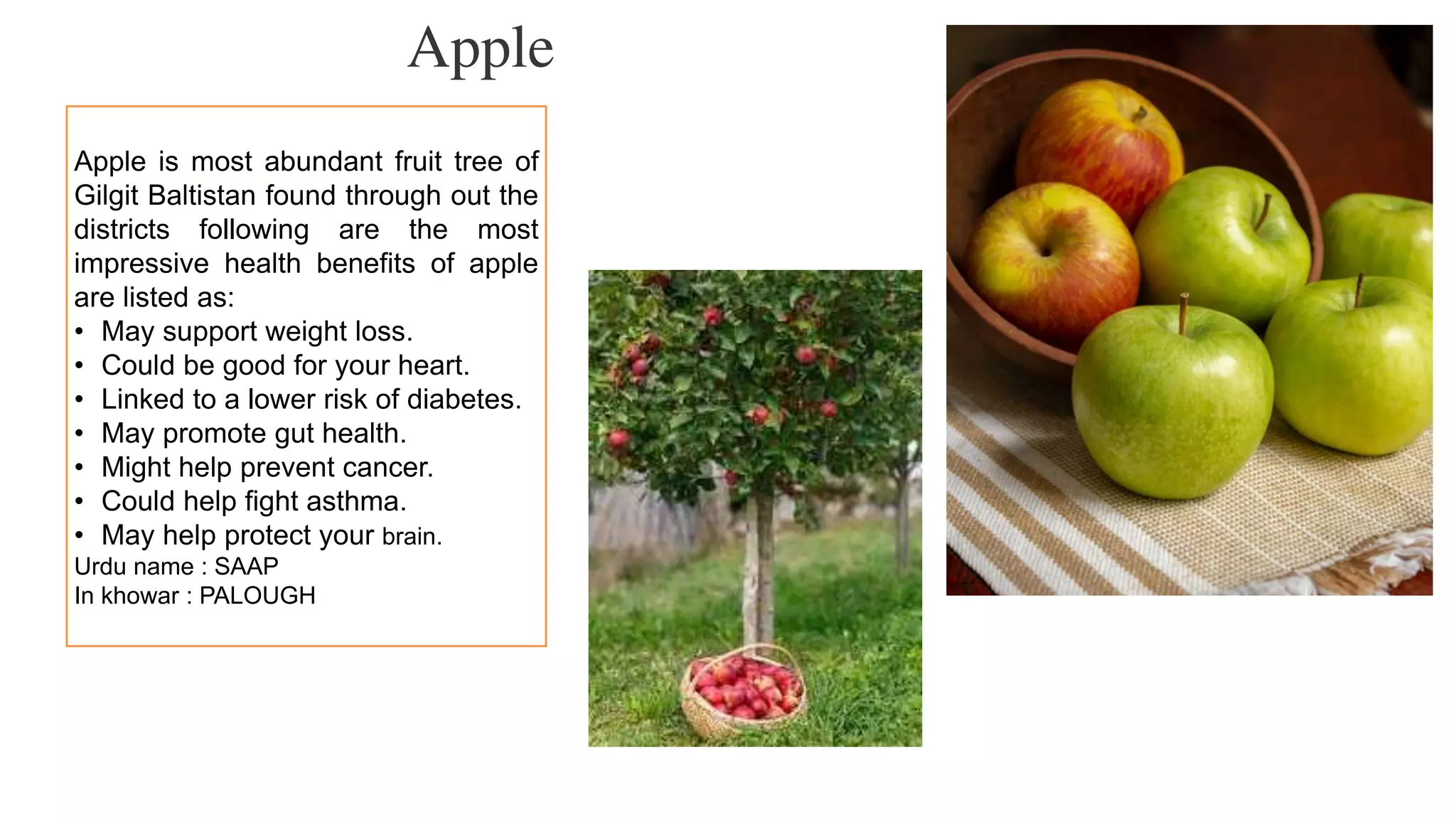 Flora and Fauna of Gilgit Baltistan.pptx