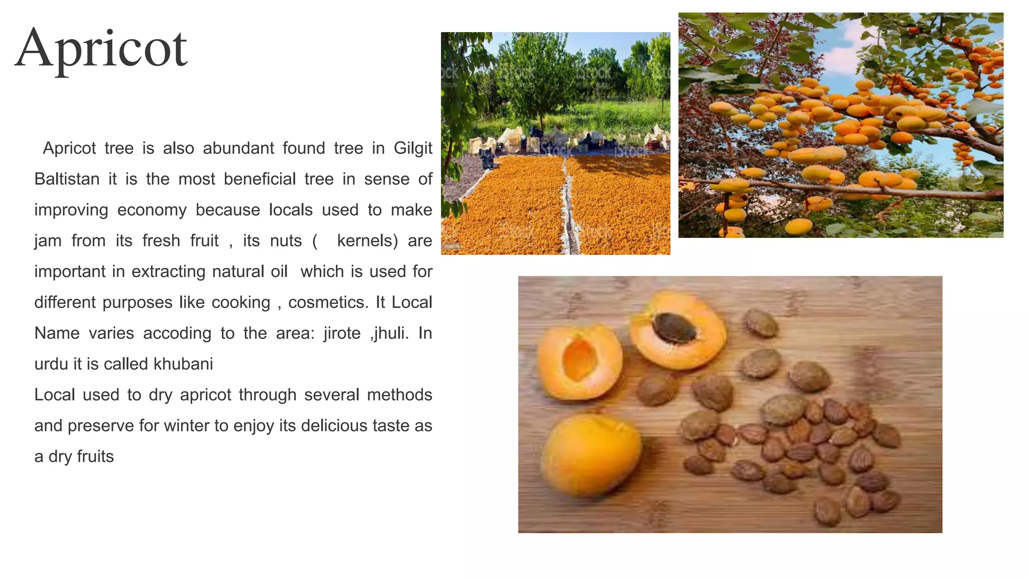 Flora and Fauna of Gilgit Baltistan.pptx